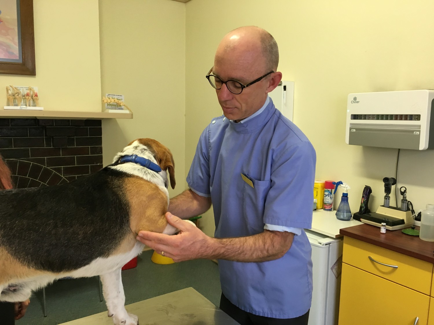 Vaccine dangers | Walkerville Vet