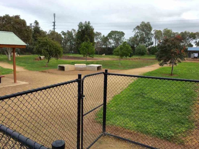 47 Adelaide Off Leash Dog Parks | List & Map | Walkerville Vet