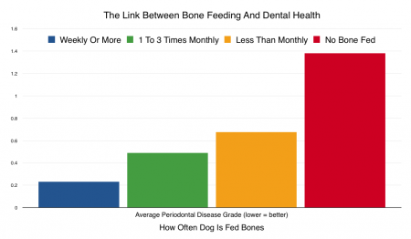 Why Feed Bones To Dogs: The Evidence | Walkerville Vet
