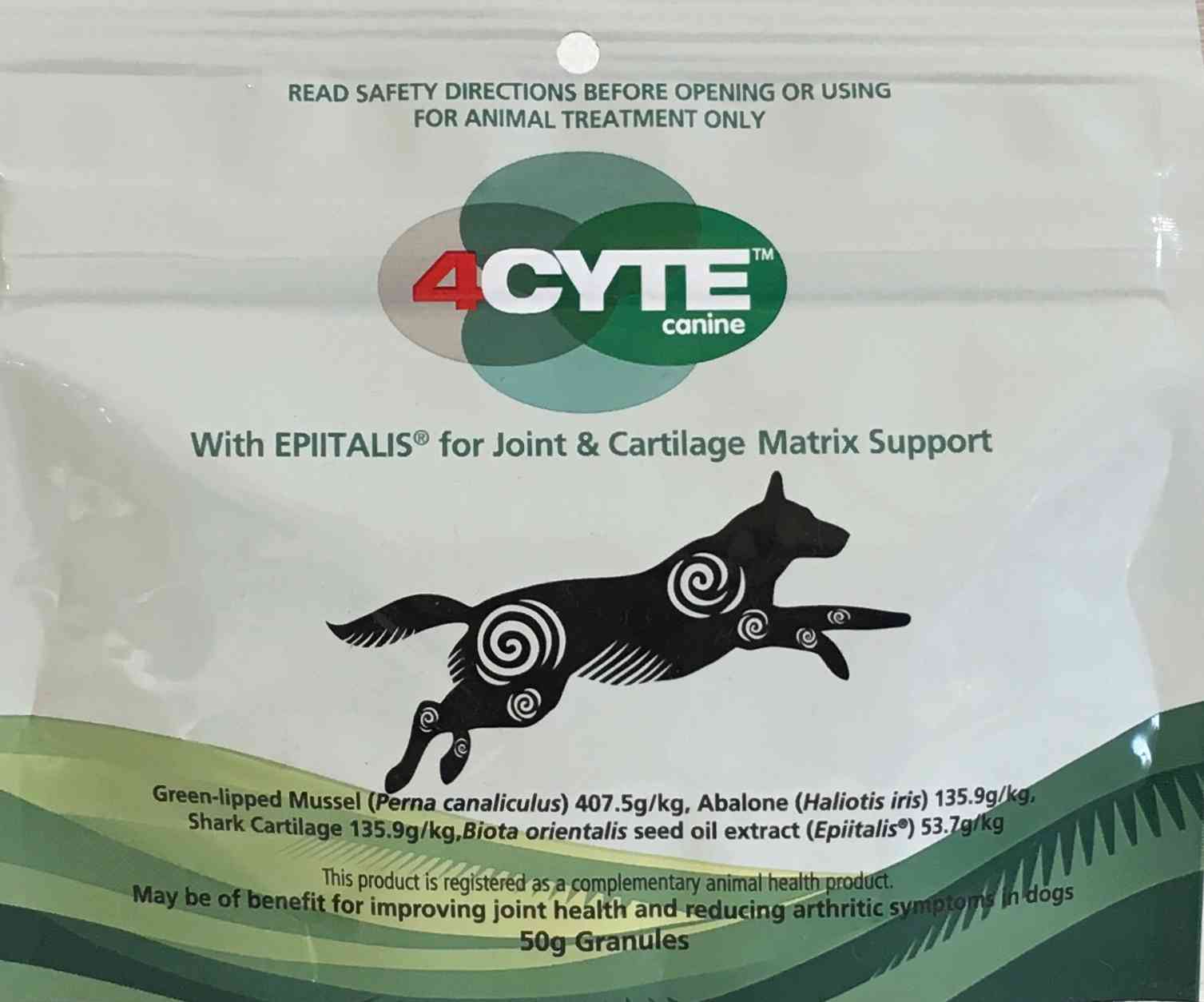 How You Can Help A Dog With Arthritis or Pain | Walkerville Vet