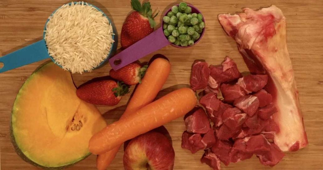 A Vet approved Grain free Raw Dog Food Recipe Walkerville Vet A Vet approved Grain free Raw Dog Food Recipe Walkerville Vet