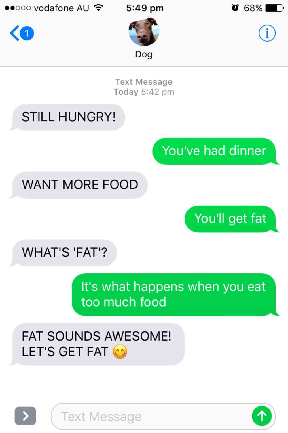 How You CAN Get Your Dog To Lose Weight | Walkerville Vet