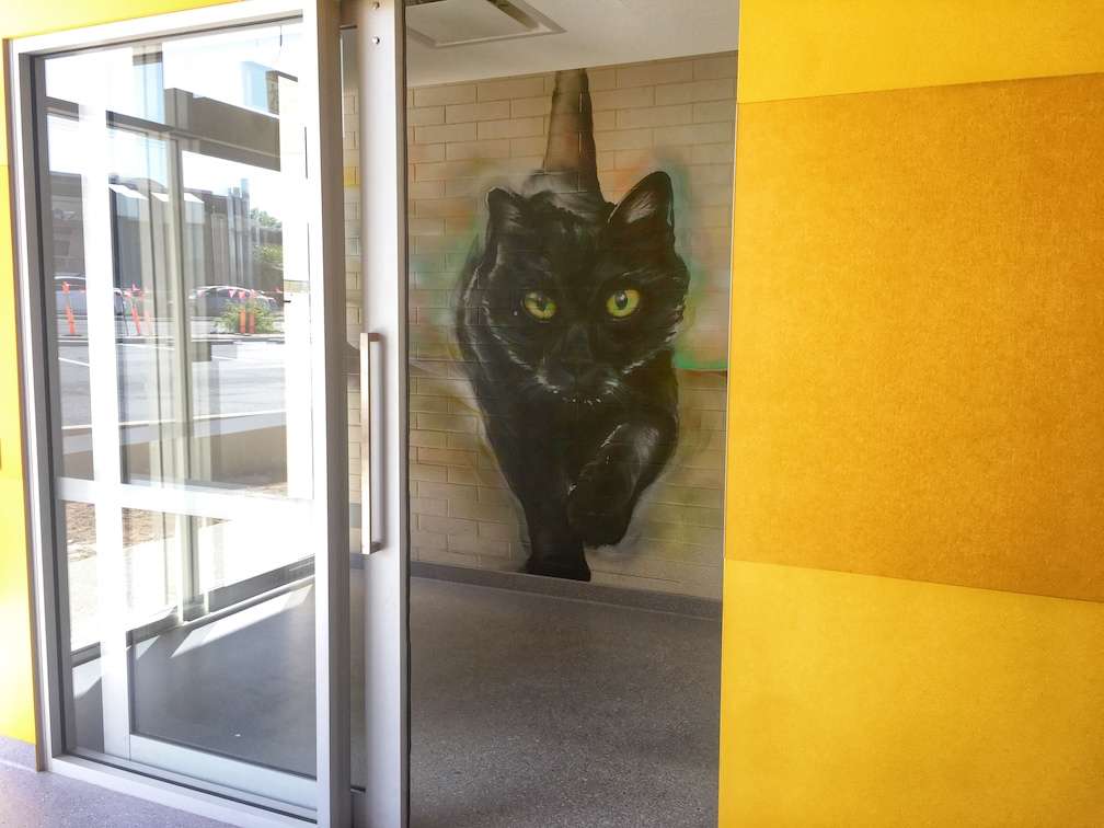 We've Moved! Plans & Location Of The NEW Walkerville Vet