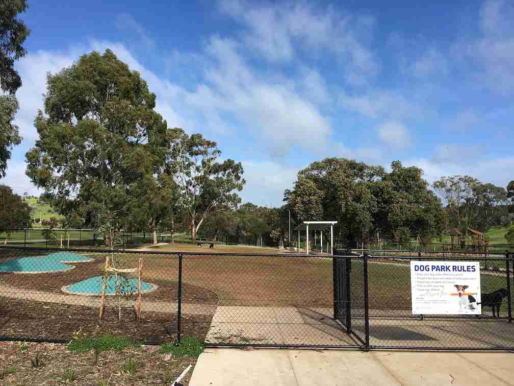 47 Adelaide Off Leash Dog Parks | List & Map | Walkerville Vet