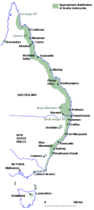 Tick Paralysis | Symptoms & Prevention | Walkerville Vet