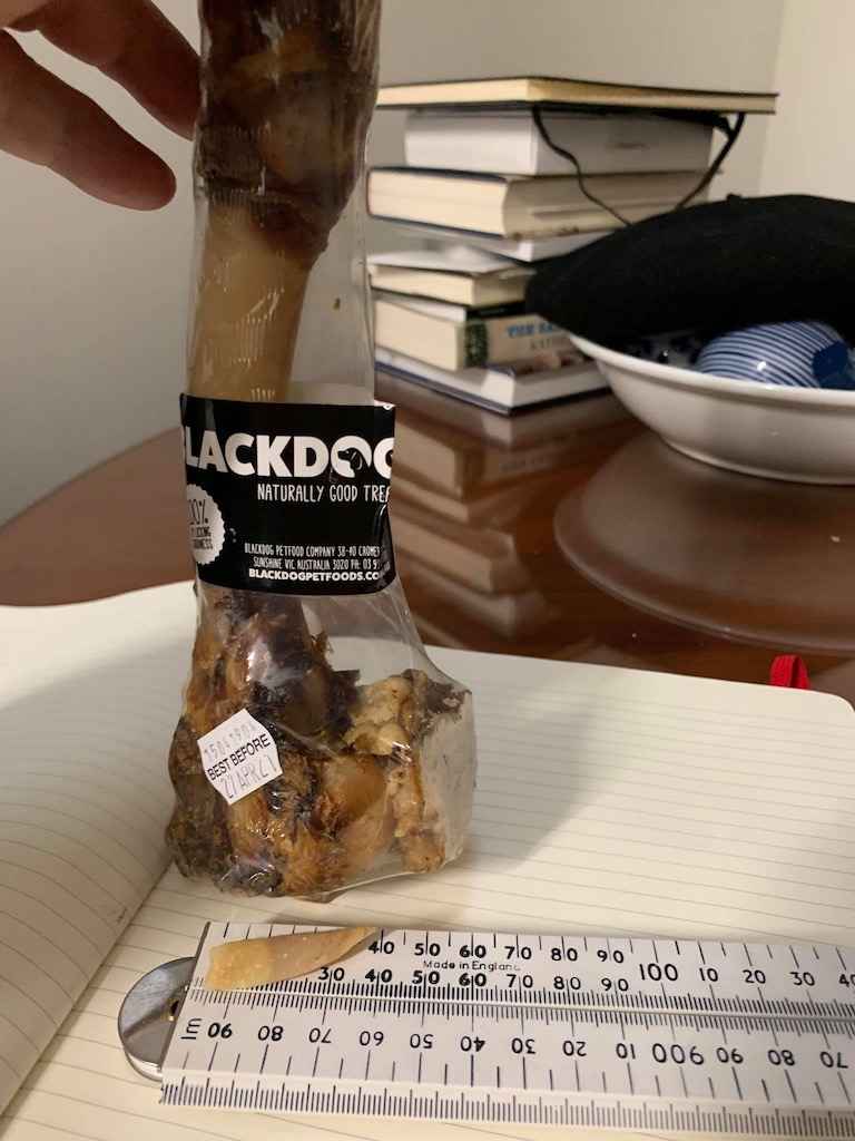 How To Feed Dogs Bones | Benefits And Risks | Walkerville Vet