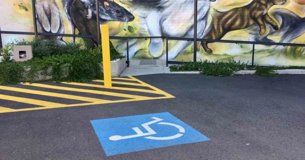 Your Guide to Wheelchair & Disability Access at Walkerville Vet