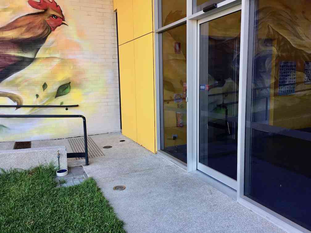 Your Guide to Wheelchair & Disability Access at Walkerville Vet
