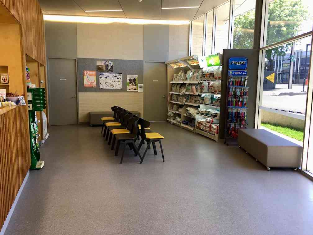 Your Guide to Wheelchair & Disability Access at Walkerville Vet