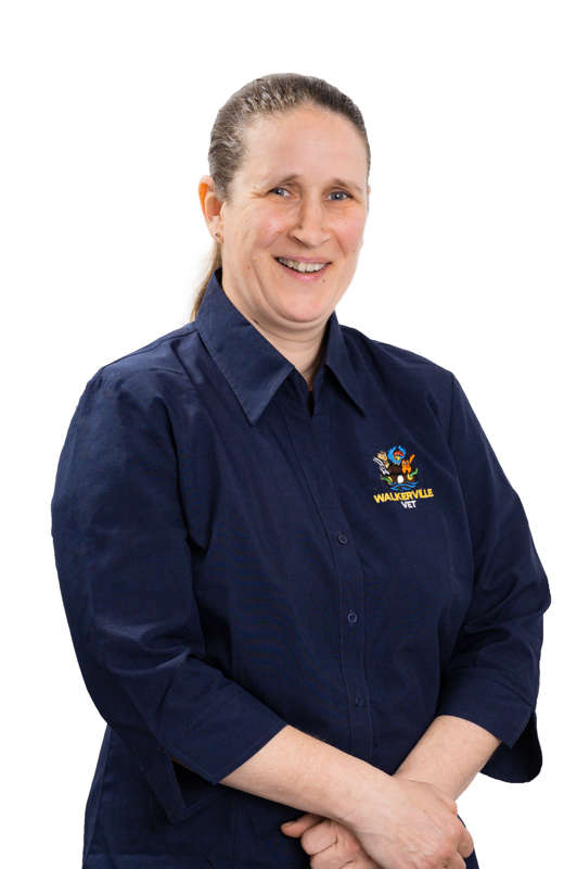 Meet Our Vets & Nurses | Adelaide Vet Clinic | Walkerville Vet