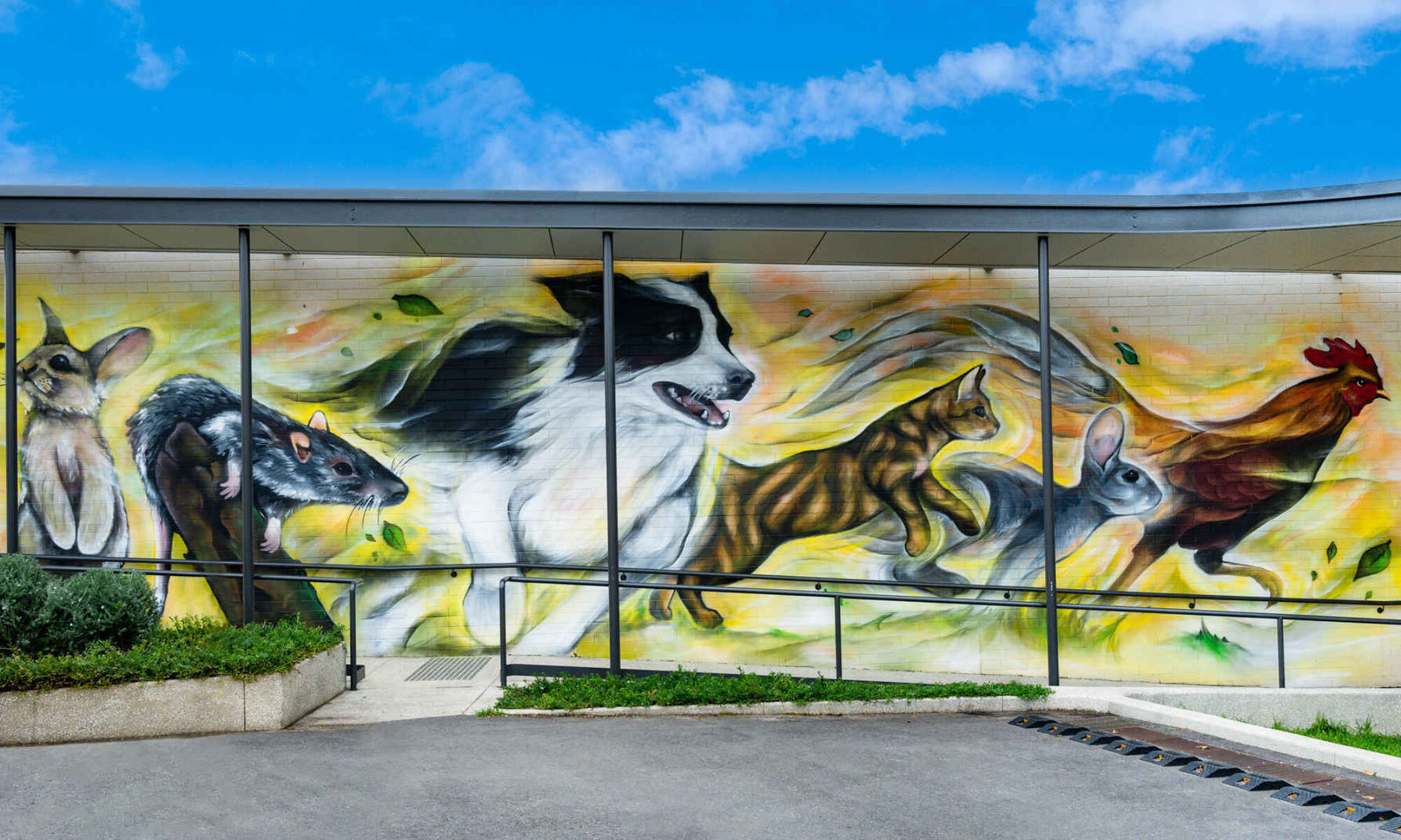 About Us | Adelaide Veterinary Clinic | Walkerville Vet