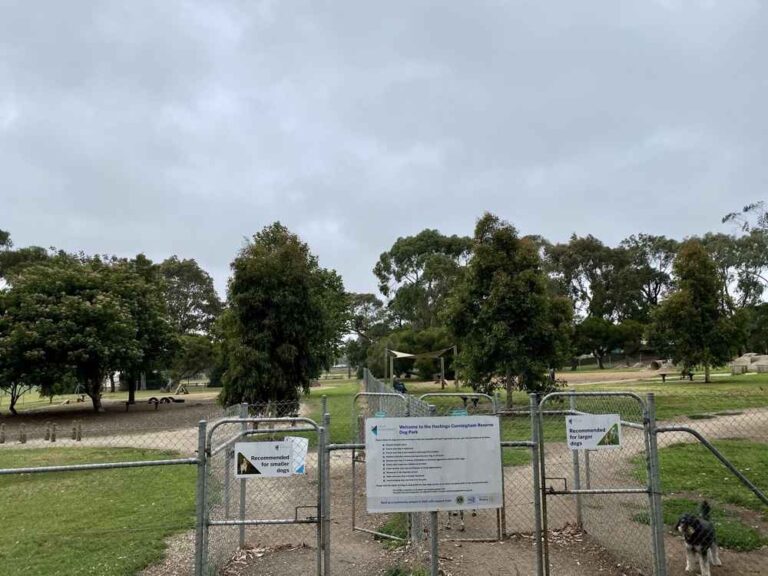 27 Dog Parks In Country South Australia | Walkerville Vet