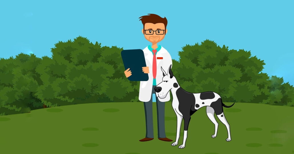Vet Articles & News | Pet Care Advice | Walkerville Vet