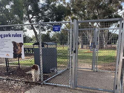 27 Dog Parks In Country South Australia | Walkerville Vet