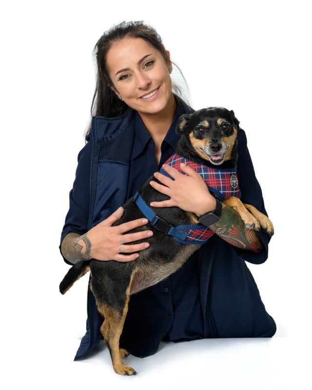 Meet Our Vets & Nurses | Adelaide Vet Clinic | Walkerville Vet
