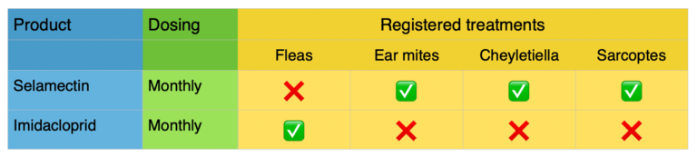 How To Treat & Prevent Rabbit Mites & Fleas | Walkerville Vet