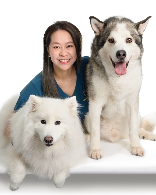 Meet Our Vets & Nurses | Adelaide Vet Clinic | Walkerville Vet
