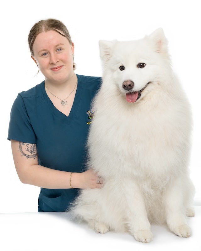 Meet Our Vets & Nurses | Adelaide Vet Clinic | Walkerville Vet