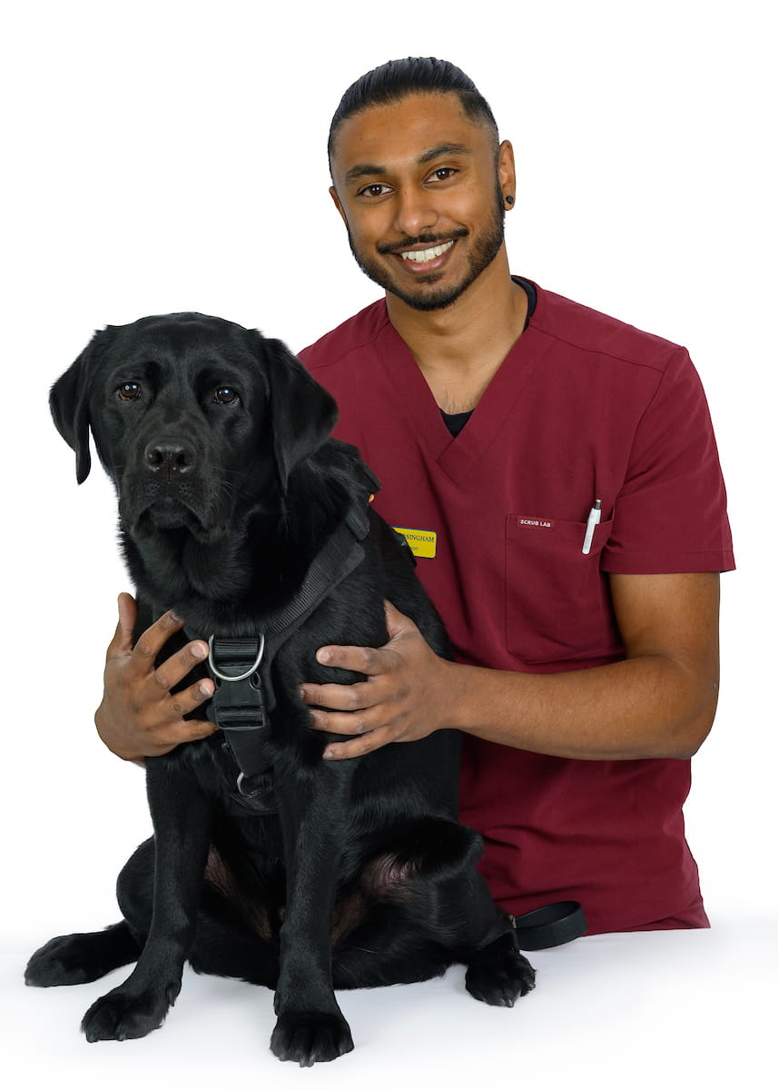 Meet Our Vets & Nurses | Adelaide Vet Clinic | Walkerville Vet