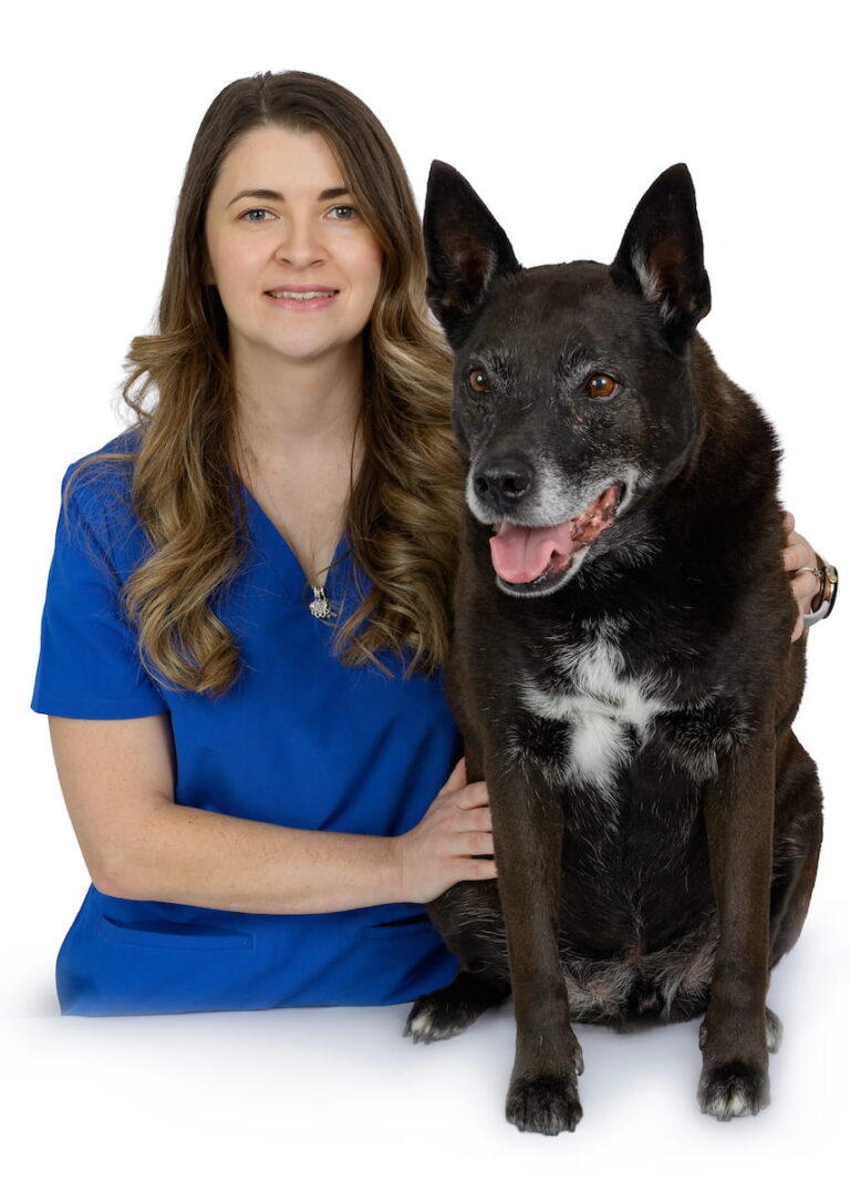 Meet Our Vets & Nurses | Adelaide Vet Clinic | Walkerville Vet