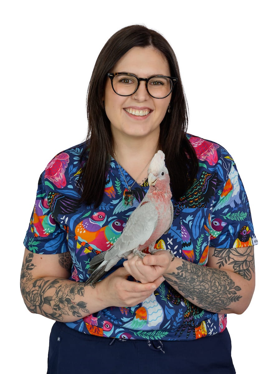 Meet Our Vets & Nurses | Adelaide Vet Clinic | Walkerville Vet