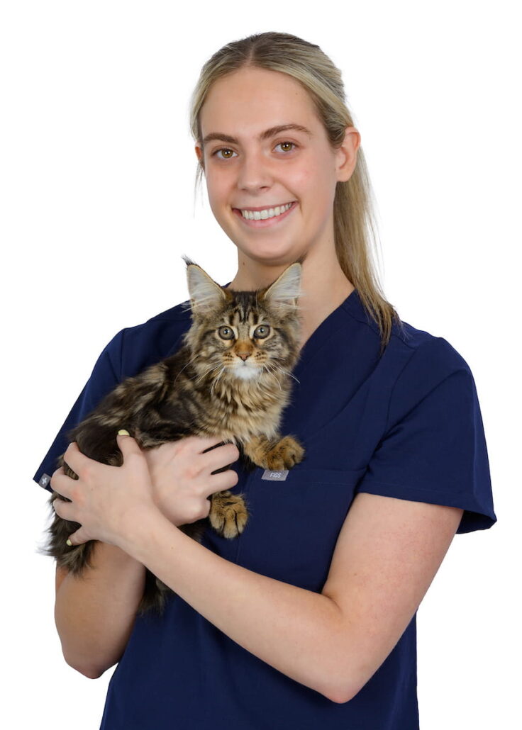 Meet Our Vets & Nurses | Adelaide Vet Clinic | Walkerville Vet